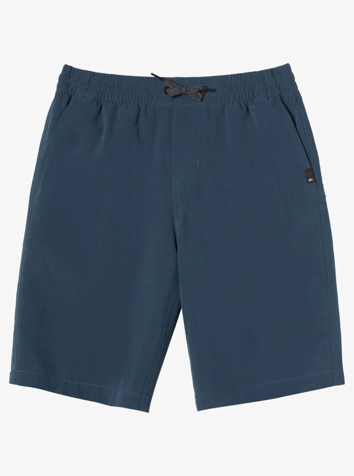Quiksilver - Kid's Ocean Elastic Amphibian Shorts – Snagged & Bagged